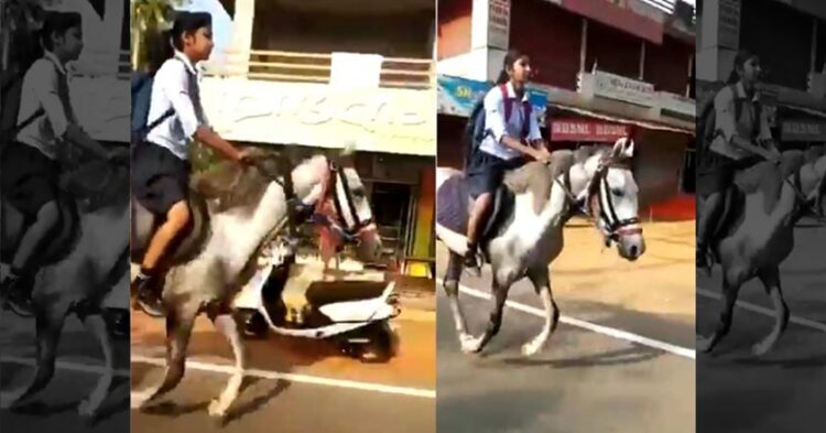 Video Of Kerala Girl Heroically Riding A Horse To Class X Final Exam ...