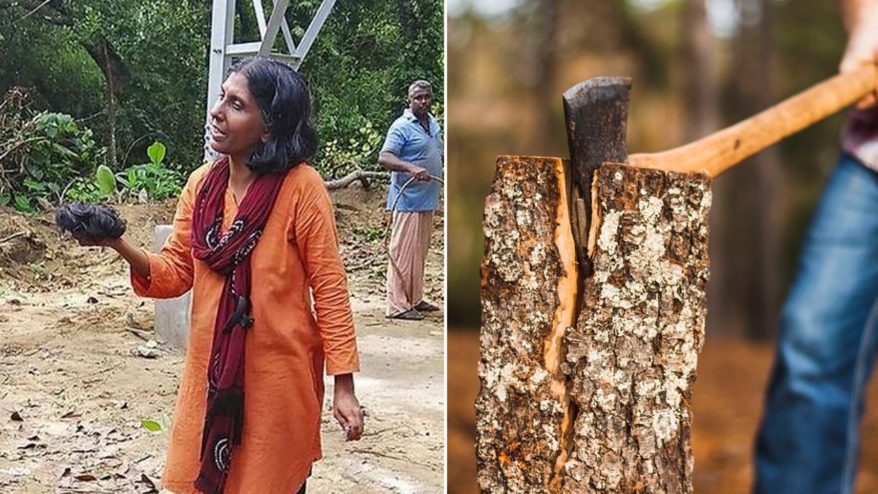 My Forest Is A Part Of Me: Kerala Woman Cuts Her Hair In Protest & Why ...