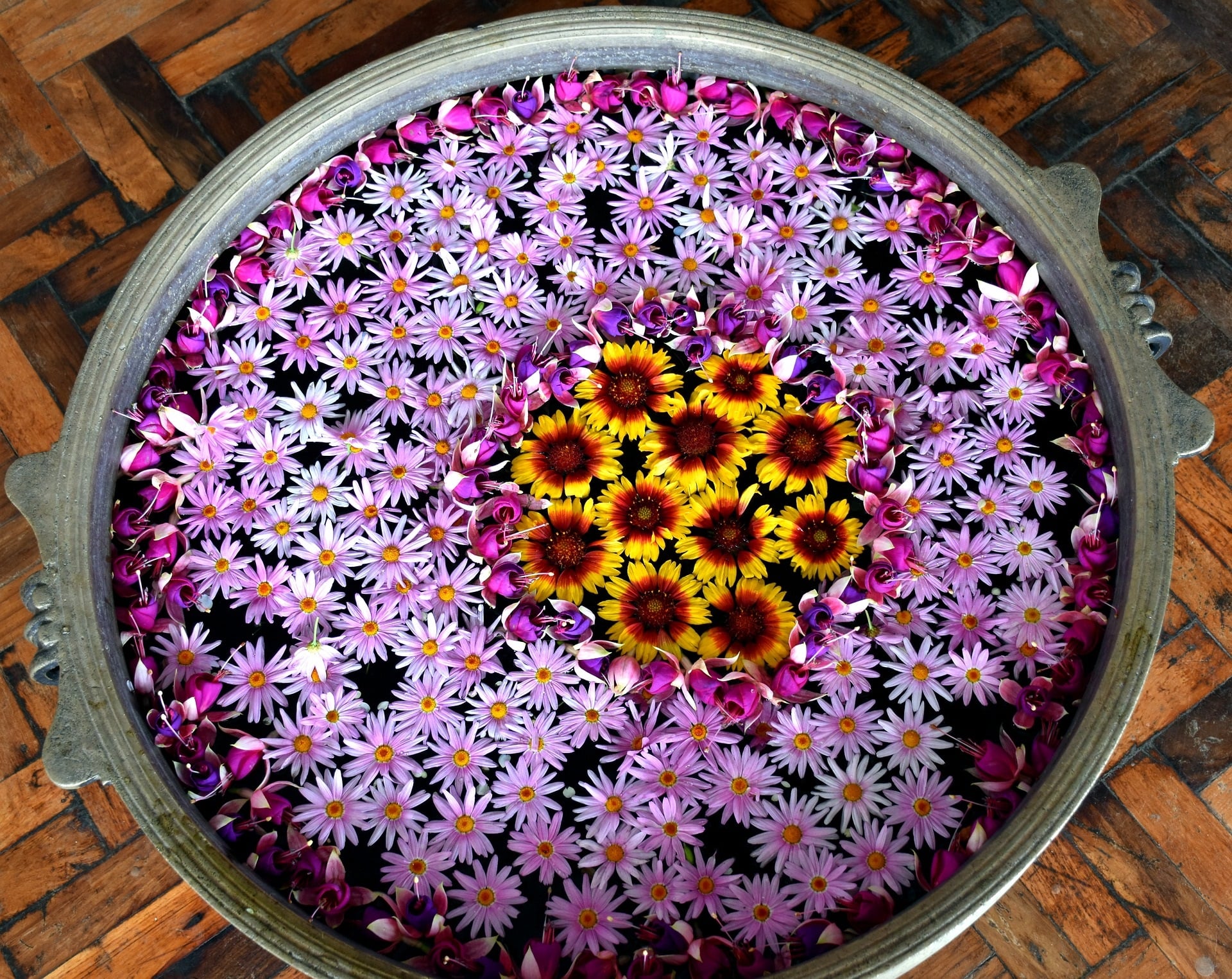 Pongal Rangoli Designs: 20 Flower Rangoli Ideas (2025)