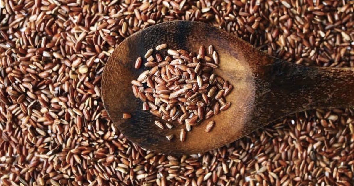 10 Health Benefits Of Brown Rice