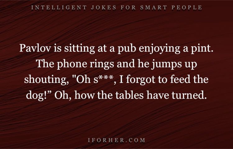 20 Best Intelligent Jokes To Make You Seem Smart & Clever