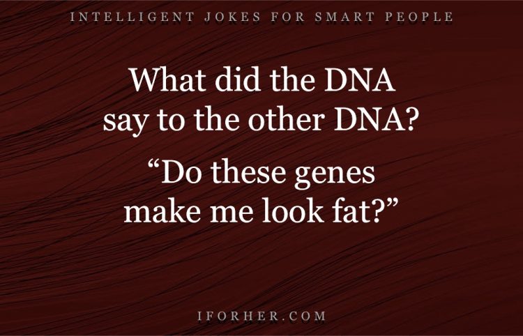 20 Best Intelligent Jokes To Make You Seem Smart & Clever