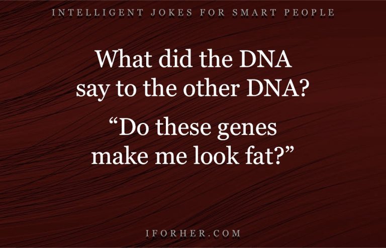 20 Best Intelligent Jokes To Make You Seem Smart & Clever