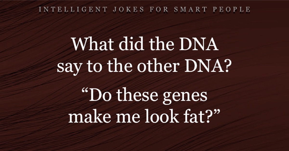 20 Best Intelligent Jokes To Make You Seem Smart & Clever