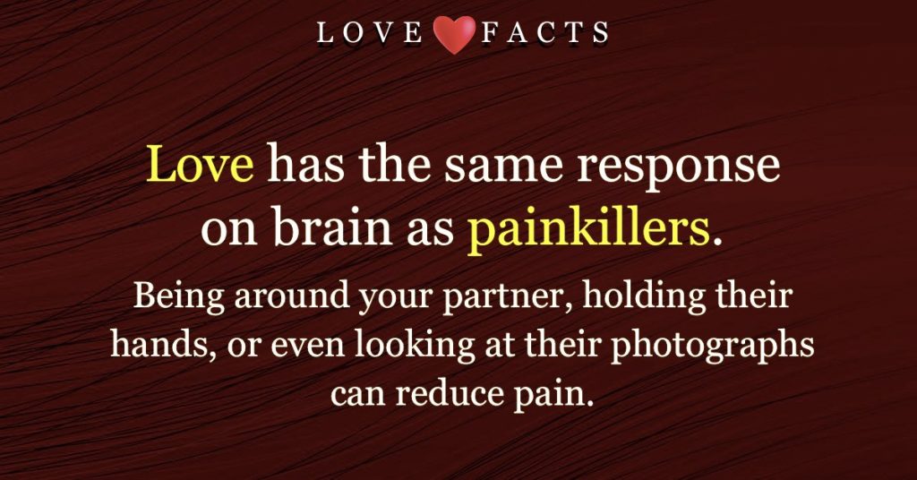 15 Psychological Facts About Love That Are Funny & Amazing