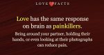 15 Psychological Facts About Love That Are Funny & Amazing