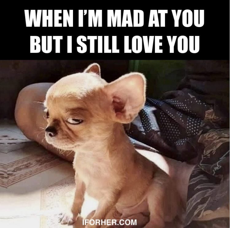 26 Best Memes About Love That Are Funny & Romantic