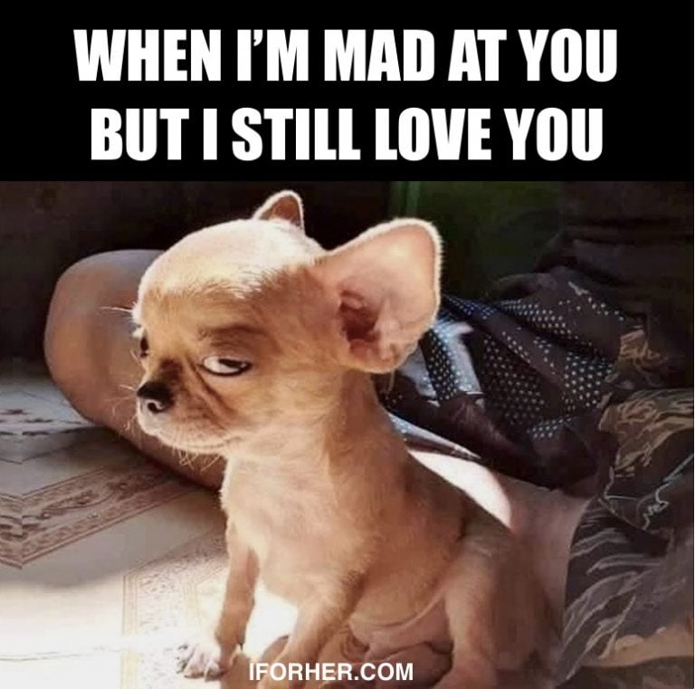 26 Best Memes About Love That Are Funny & Romantic
