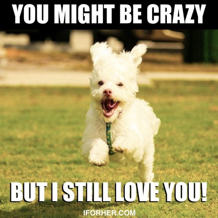 26 Best Memes About Love That Are Funny & Romantic