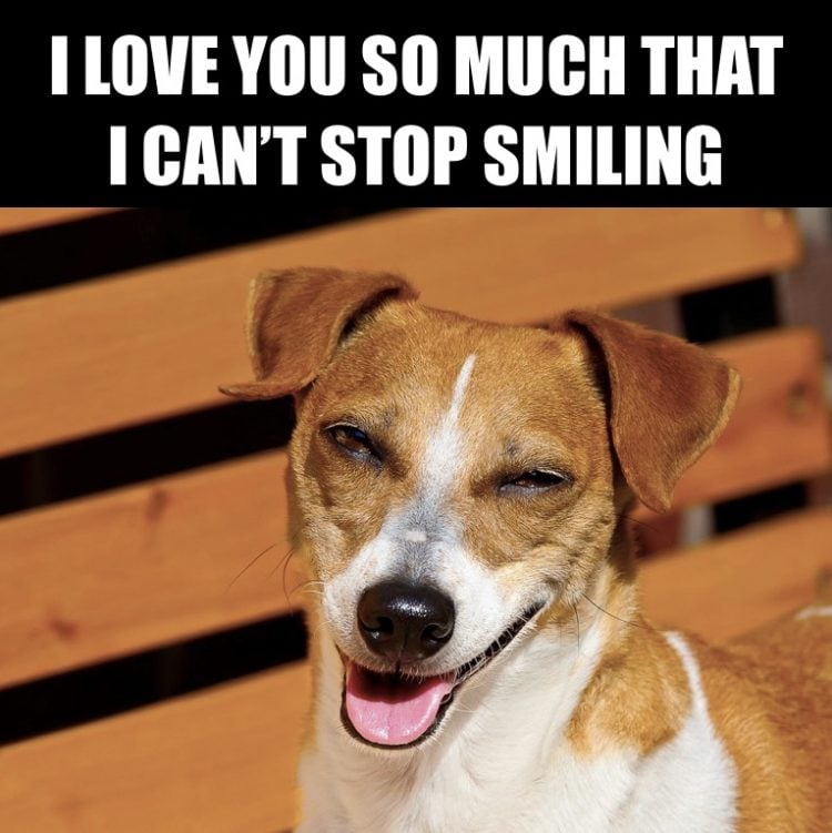 26 Best Memes About Love That Are Funny & Romantic