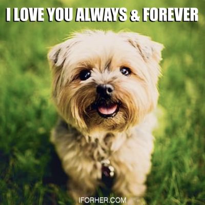 26 Best Memes About Love That Are Funny & Romantic