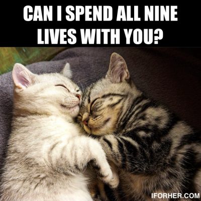 26 Best Memes About Love That Are Funny & Romantic