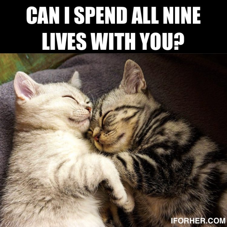 26 Best Memes About Love That Are Funny & Romantic