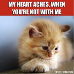 26 Best Memes About Love That Are Funny & Romantic