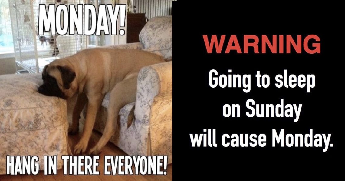 18 Best Monday Memes To Handle The Worst Day Of Week With A Laugh