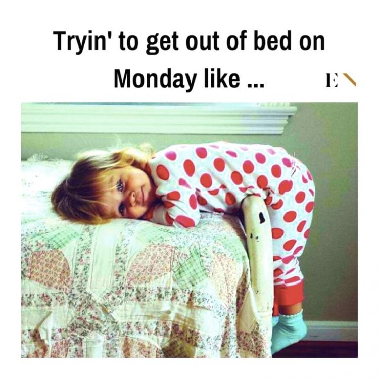 18 Best Monday Memes To Handle The Worst Day Of Week With A Laugh