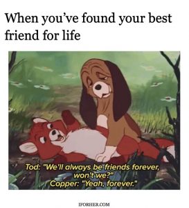 25 Best Memes About Friends To Share With Your BFF