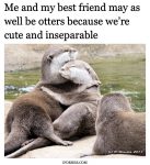 25 Best Memes About Friends To Share With Your BFF