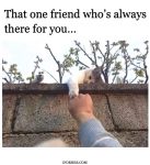 25 Best Memes About Friends To Share With Your BFF