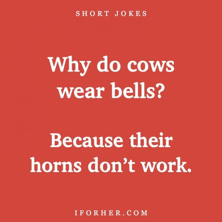 45 Best Funny Short Jokes For Adults To Make Anyone Laugh - Iforher