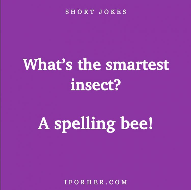 45 Best Funny Short Jokes For Adults To Make Anyone Laugh - Iforher