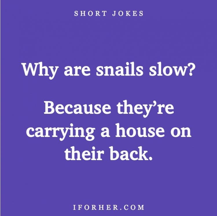 45 Best Funny Short Jokes For Adults To Make Anyone Laugh - Iforher