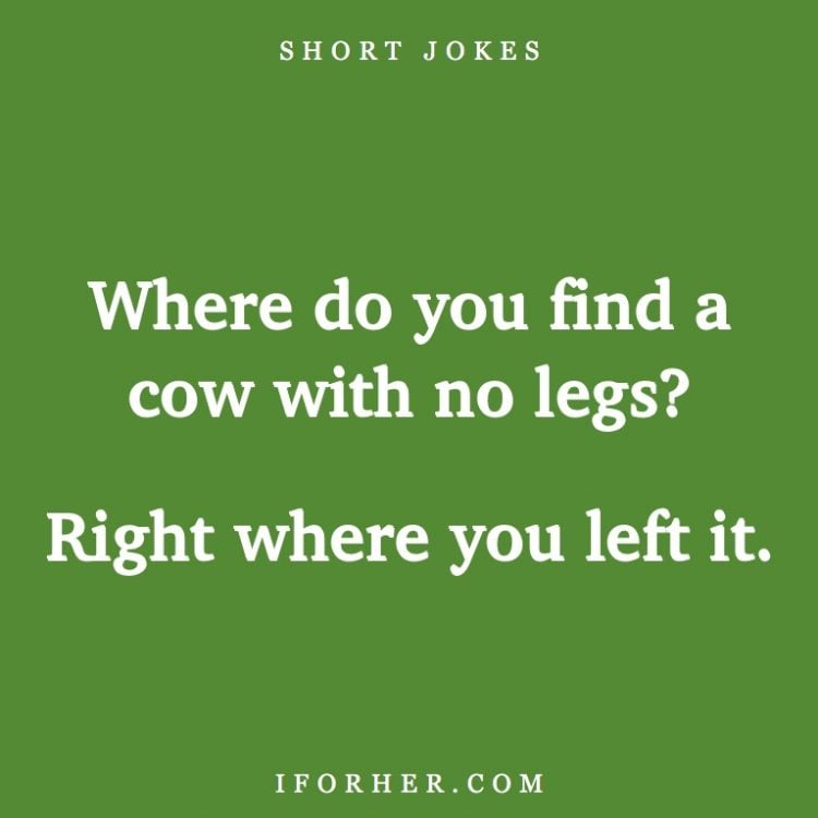 45 Best Funny Short Jokes For Adults To Make Anyone Laugh - Iforher
