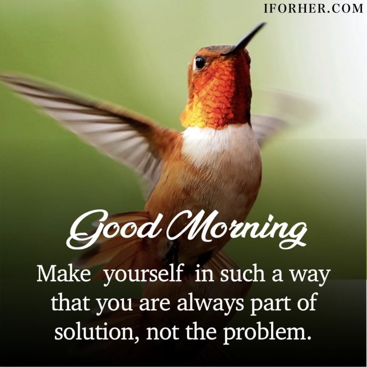 45 Motivational & Inspirational Good Morning Quotes & Images To ...
