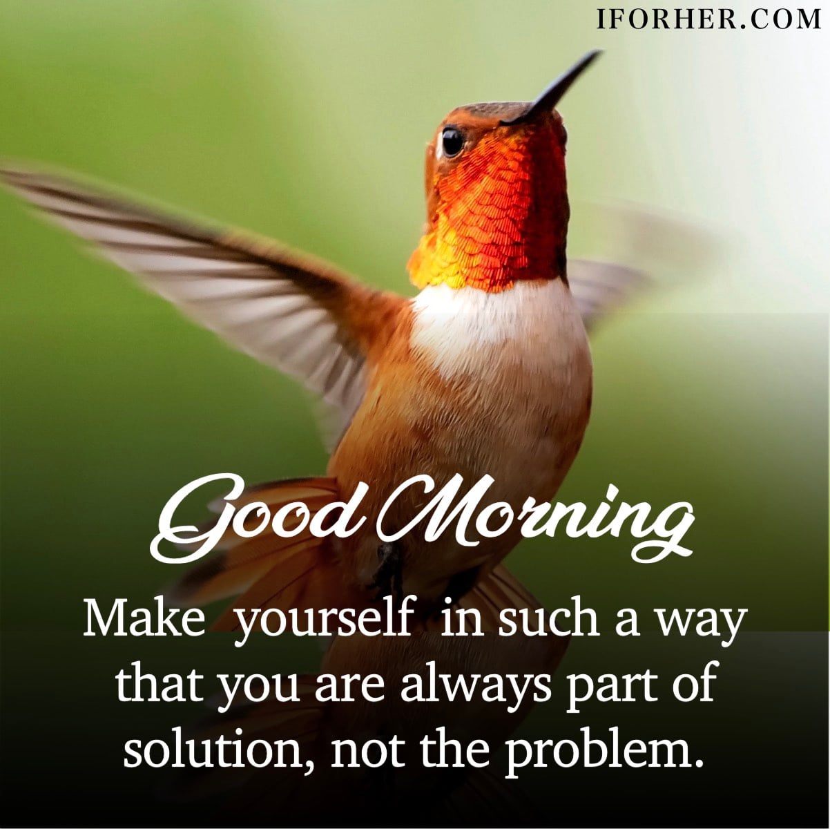 45 Motivational & Inspirational Good Morning Quotes & Images To ...