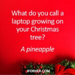 200 Best Christmas Jokes That Are Smart, Witty, & Fun!