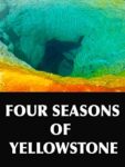 14 Best Movies Featuring Yellowstone National Park