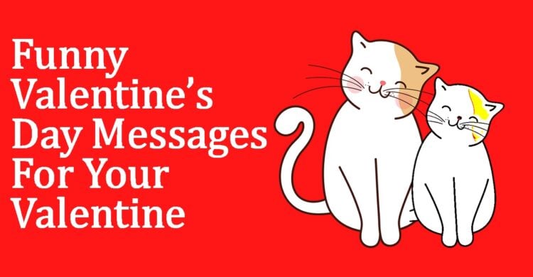 50 Funny Valentine's Day Quotes For Him (2025)