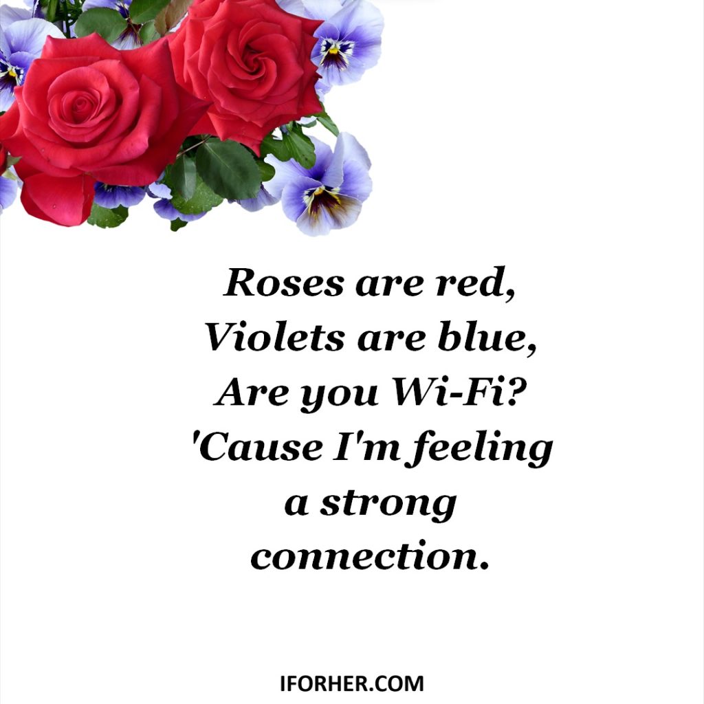 60 Best Roses Are Red Violets Are Blue Pick Up Lines