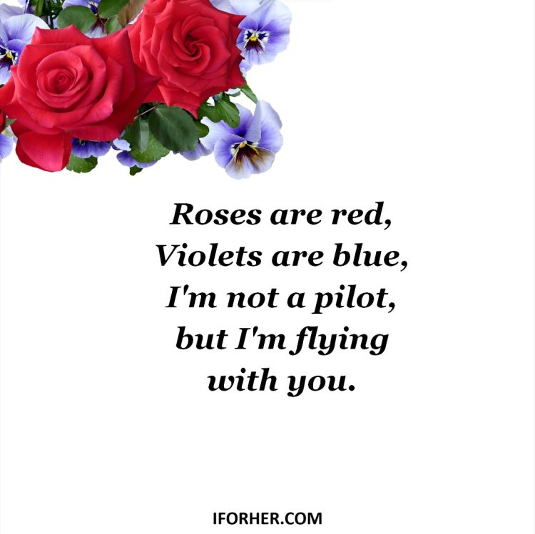 60 Best Roses Are Red Violets Are Blue Pick Up Lines