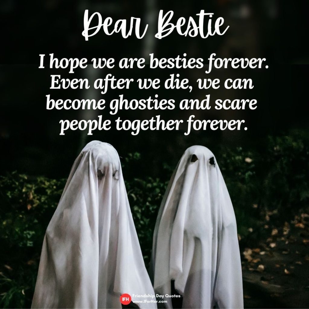 45 Funny Friendship Quotes to Make You & Your Bestie ROFL