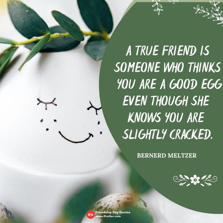 45 Funny Friendship Quotes to Make You & Your Bestie ROFL