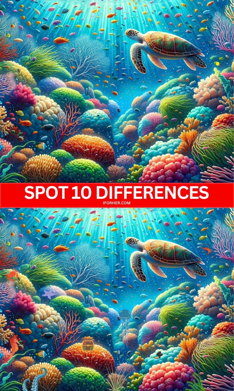 Spot The Difference Puzzle: Find 10 Differences In Ocean View