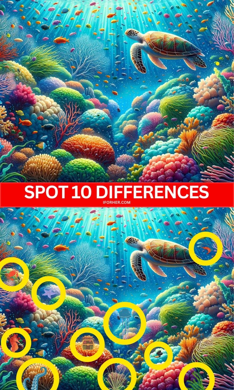 Spot The Difference Puzzle: Find 10 Differences In Ocean View