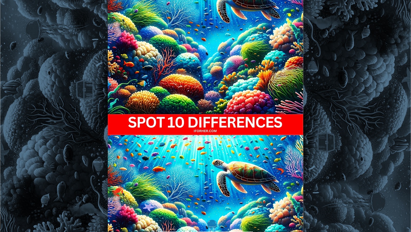 Spot The Difference Puzzle: Find 10 Differences In Ocean View